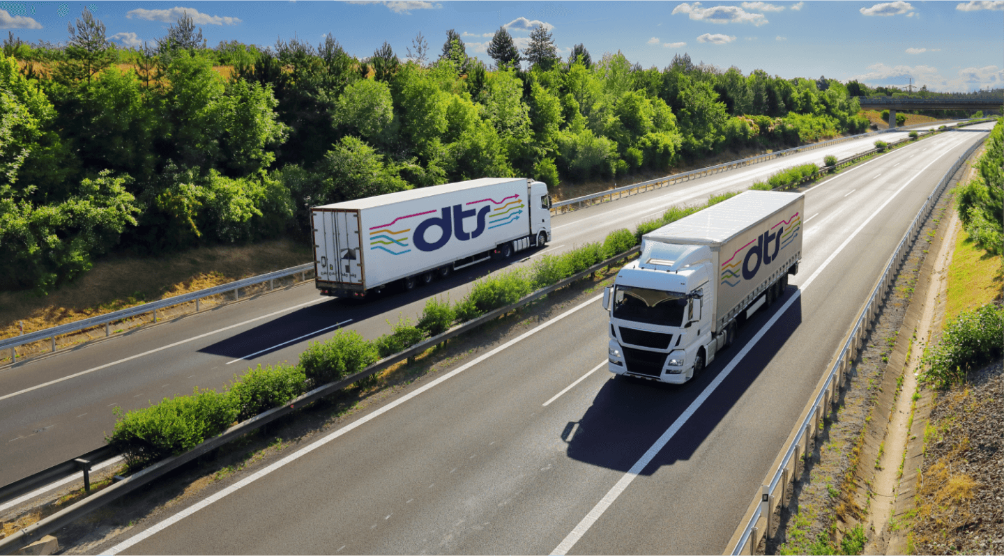 International road transport - DTS